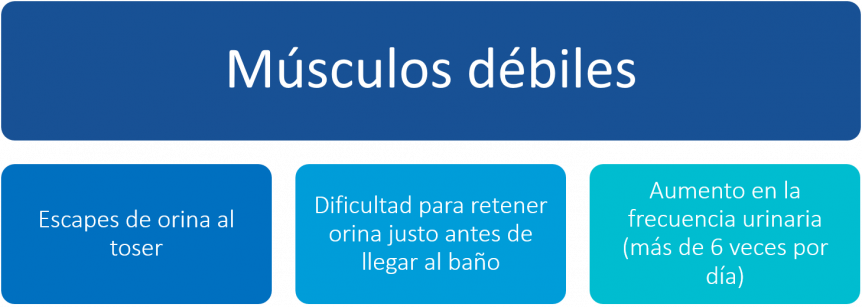 ¿Cuál es la relación entre salud del suelo pélvico y continencia ...